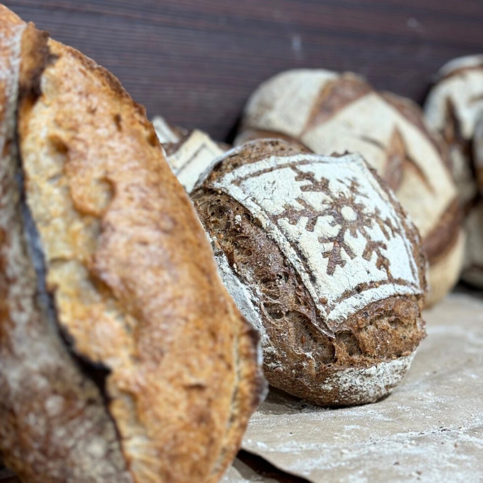 Quel pain pour quel plat ? Les conseils du Comptoir du Pain